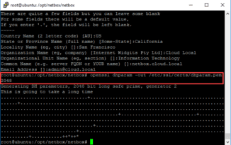 How to Create a Self-Signed Certificate for Nginx in Ubuntu 18.04 - Virtualization Howto