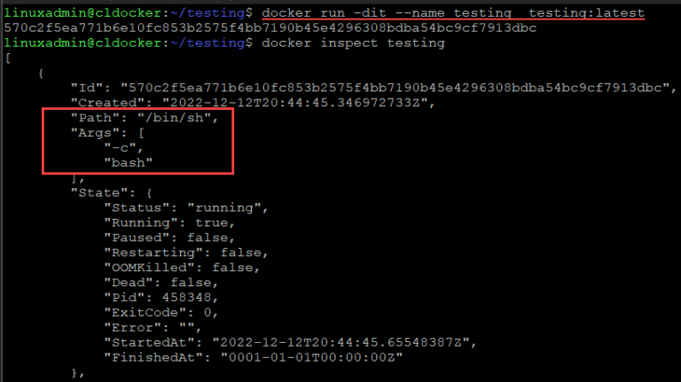 Docker Override Entrypoint command line parameters - Virtualization Howto