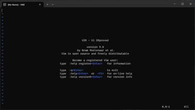 Neovim vs Vim: Battle for best IDE - Virtualization Howto