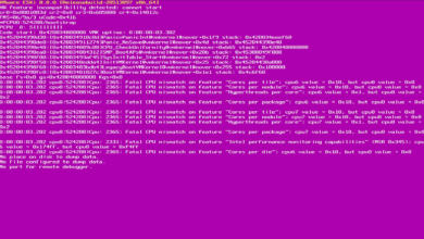 E Cores vs P Cores in Home Servers - Virtualization Howto