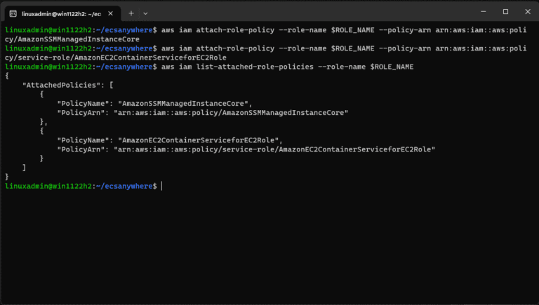 ECS Anywhere: Run AWS Containers on your Home Server On-premises ...