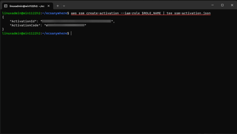 ECS Anywhere: Run AWS Containers on your Home Server On-premises ...