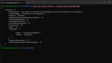 ECS Anywhere: Run AWS Containers on your Home Server On-premises ...