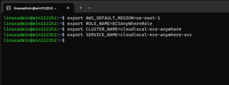 ECS Anywhere: Run AWS Containers on your Home Server On-premises! - Virtualization Howto