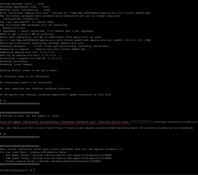 ECS Anywhere: Run AWS Containers on your Home Server On-premises! - Virtualization Howto