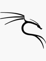 Top 20 Best OS for Raspberry Pi in 2024 - Virtualization Howto