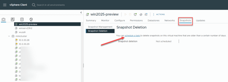 New Scheduled Task to Delete Snapshots in vSphere 8.0 Update 3 ...