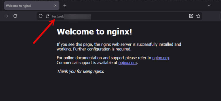 Why Zoraxy Might Be the Best Reverse Proxy for Home Labs ...
