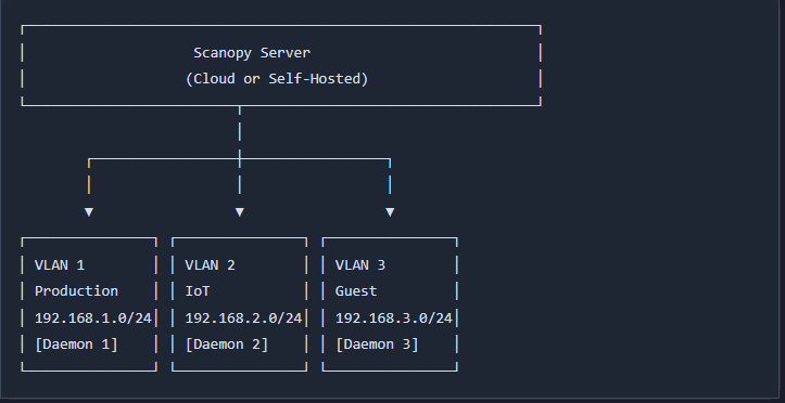 Stop Drawing Network Diagrams Manually Scanopy Does It for You ...